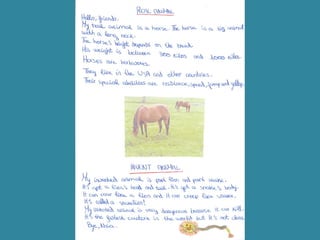 Amazing animals | PDF