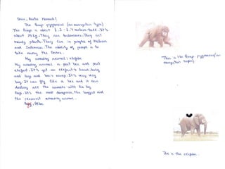 Amazing animals | PDF