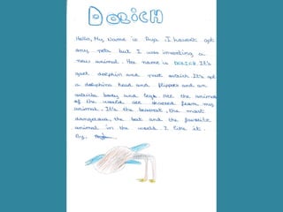 Amazing animals | PDF
