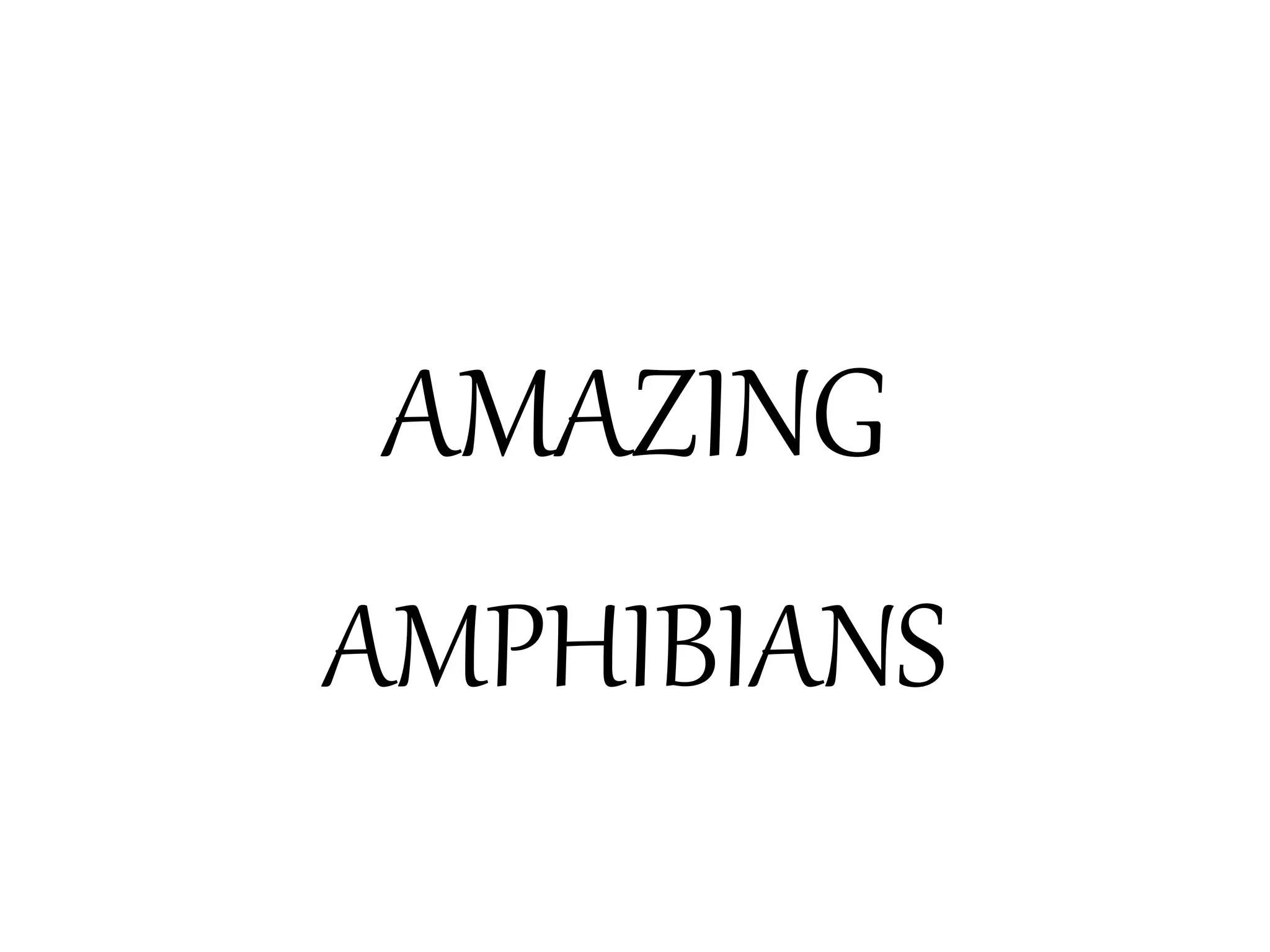 Amazing Animals Grade 1 | PPTX