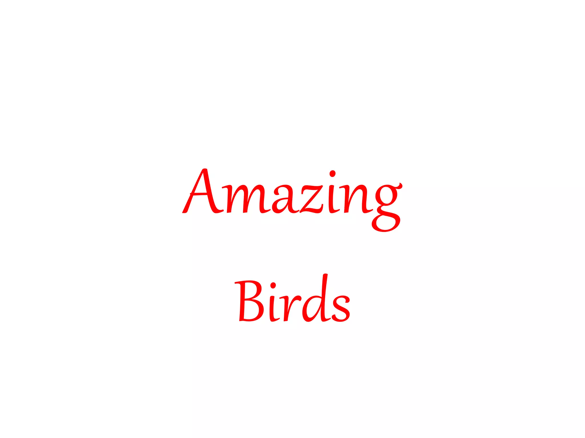 Amazing Animals Grade 1 | PPTX