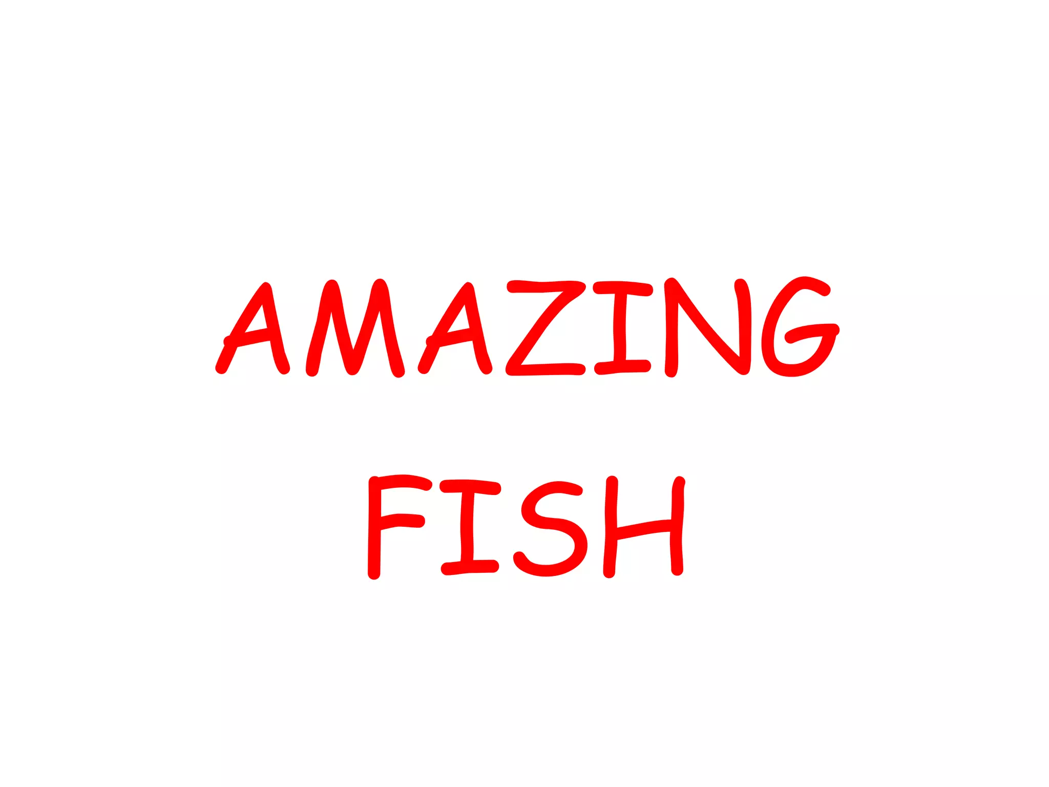 Amazing Animals Grade 1 | PPTX