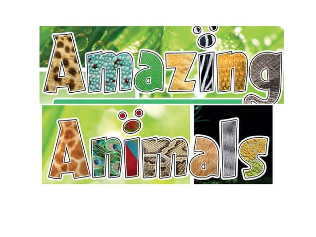 Amazing Animals Grade 1 | PPTX