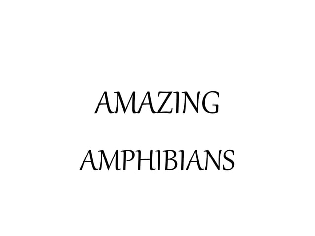 Amazing Animals Grade 1 | PPTX