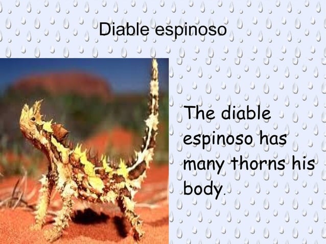 Proyecto de investigación: Amazing animals and_plants | ODP