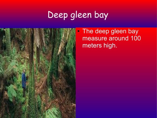 Proyecto de investigación: Amazing animals and_plants | ODP