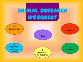 Amazing animals web quest | PPTX | Reptiles | Pets