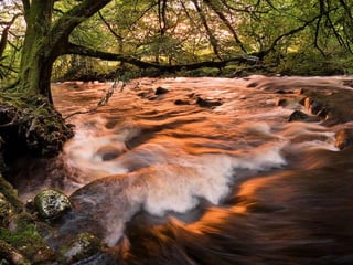 Amazing Beautiful Examples Of Flowing Water And Waterfall Photog | PPS