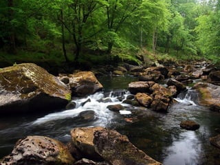 Amazing Beautiful Examples Of Flowing Water And Waterfall Photog | PPS