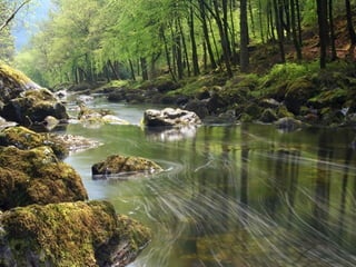 Amazing Beautiful Examples Of Flowing Water And Waterfall Photog | PPS