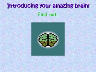 Your amazing brain assembly | PPT