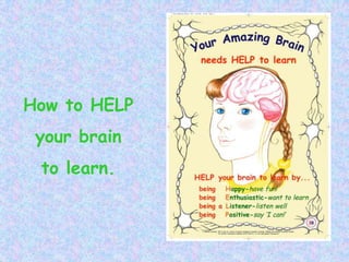 Your amazing brain assembly | PPT