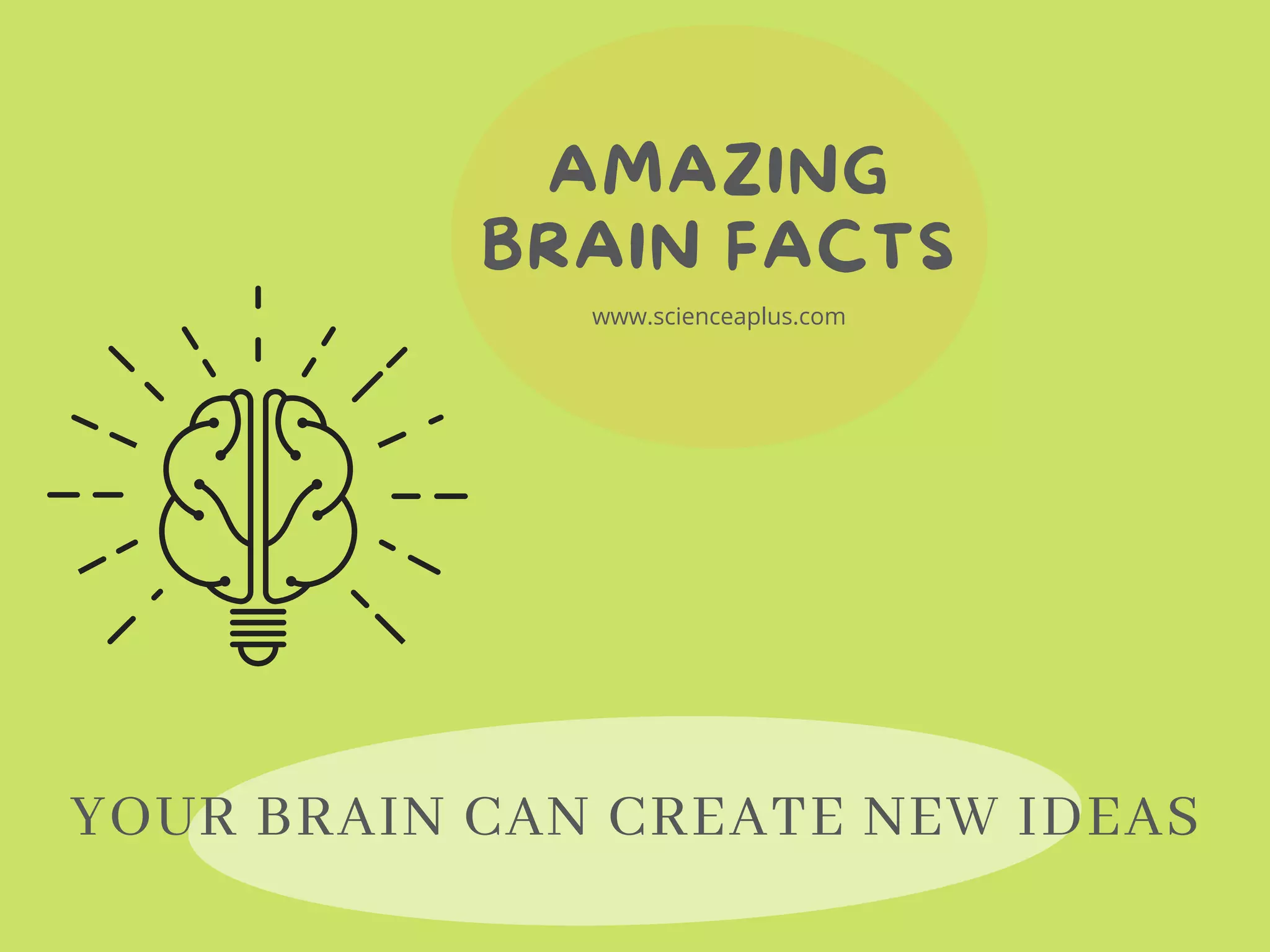 amazing brain facts.pdf