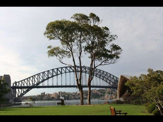 Amazing Bridges | PPS