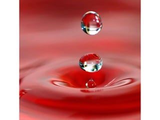 Amazing Drop Effects | PPT