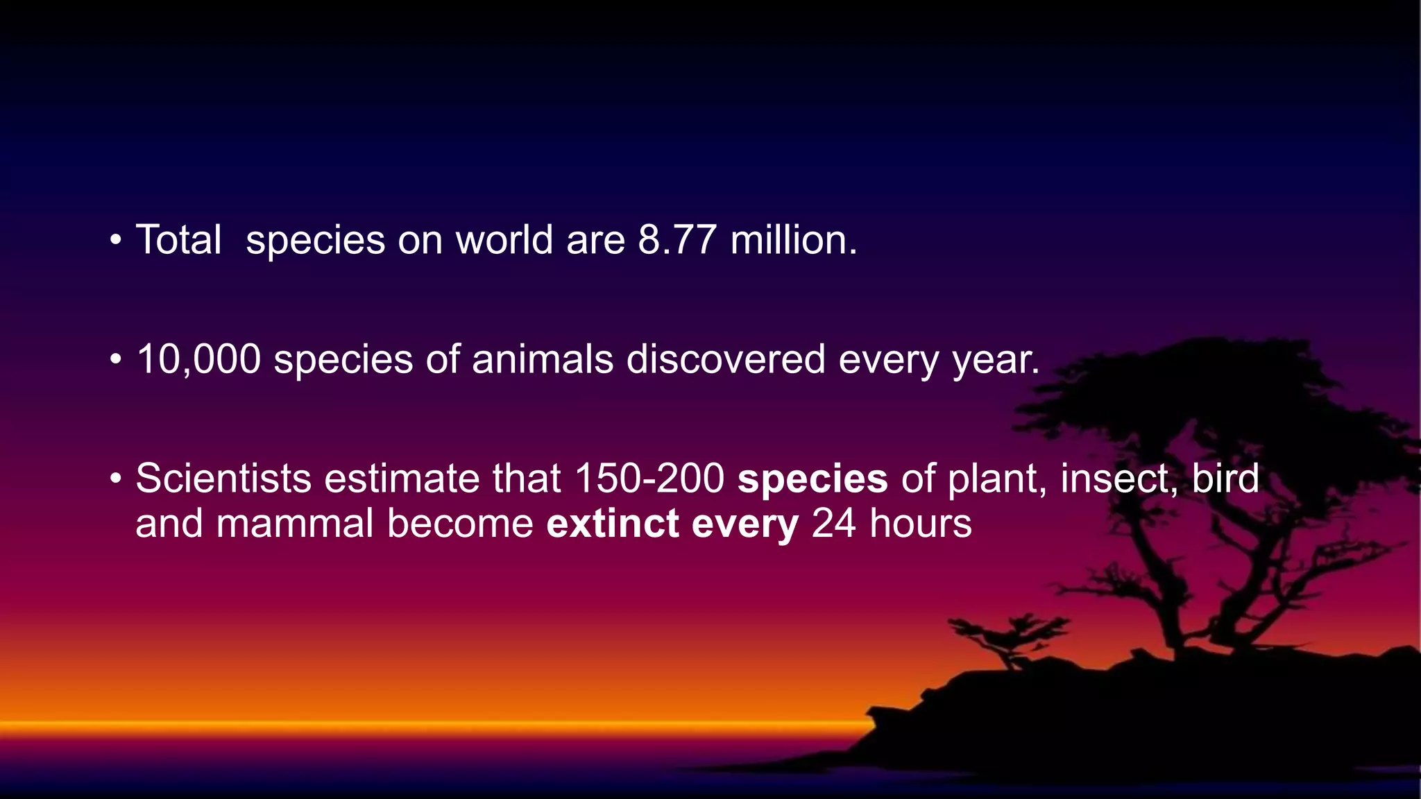 Amazing facts about different animals | PPTX