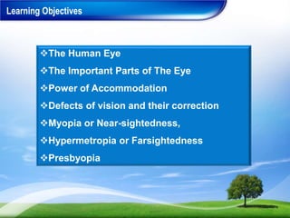 Amazing Human Eye | PPTX