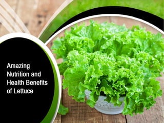 The Amazing Nutrition and Health Benefits of Lettuce | PPT