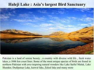Amazing pakistan | PPS