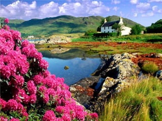 Amaizing pictures | PPSX