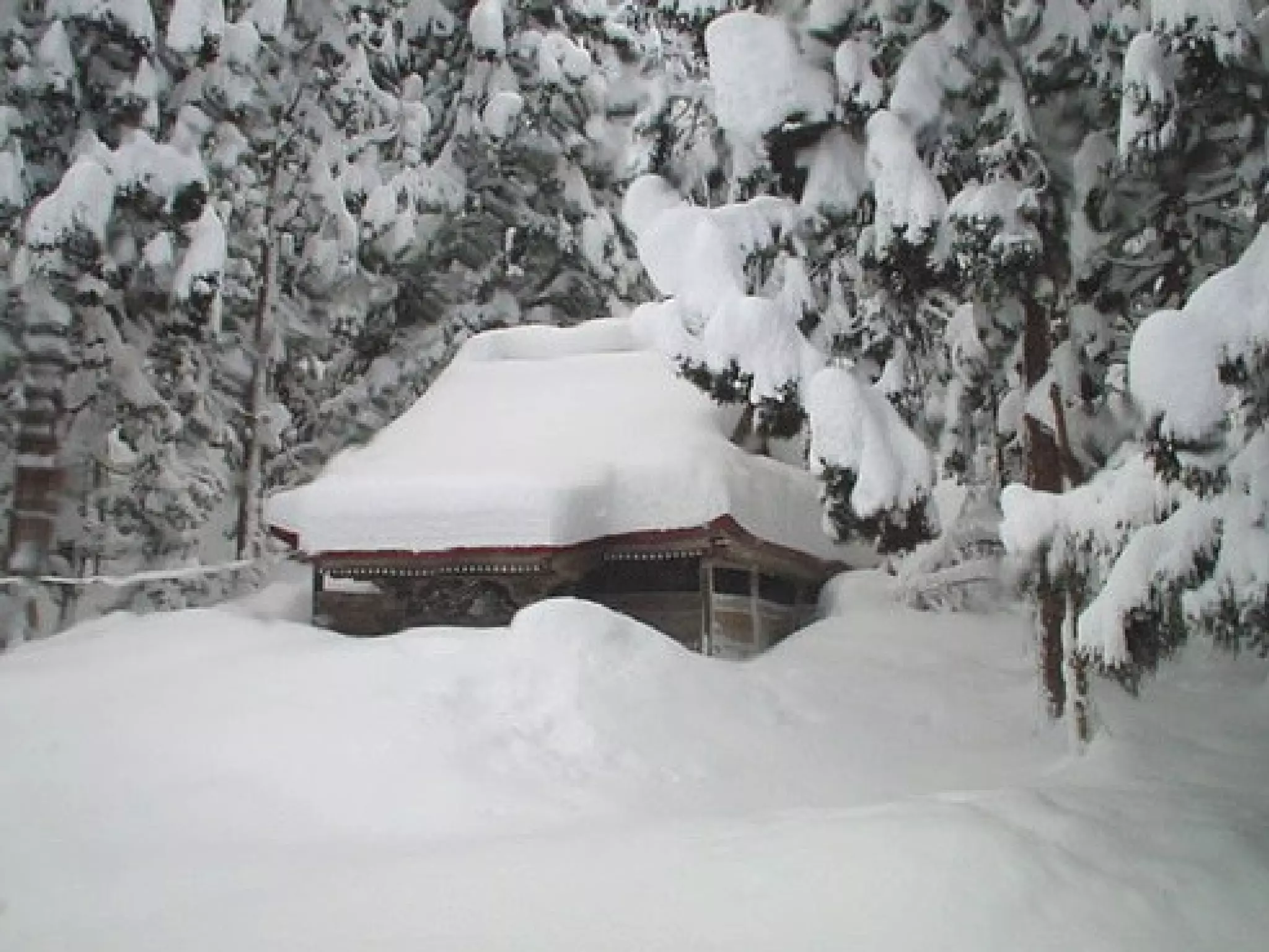 Amazing Pictures Of Heavy Snow | PPS