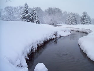 Amazing Pictures Of Heavy Snow | PPS