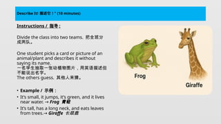 Amazing plants and animals.powerpoint presentation | PPTX