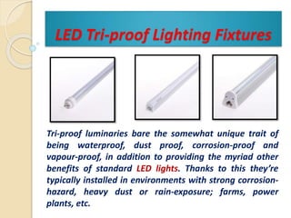 Amazing t8 & led tri proof lights | PPT