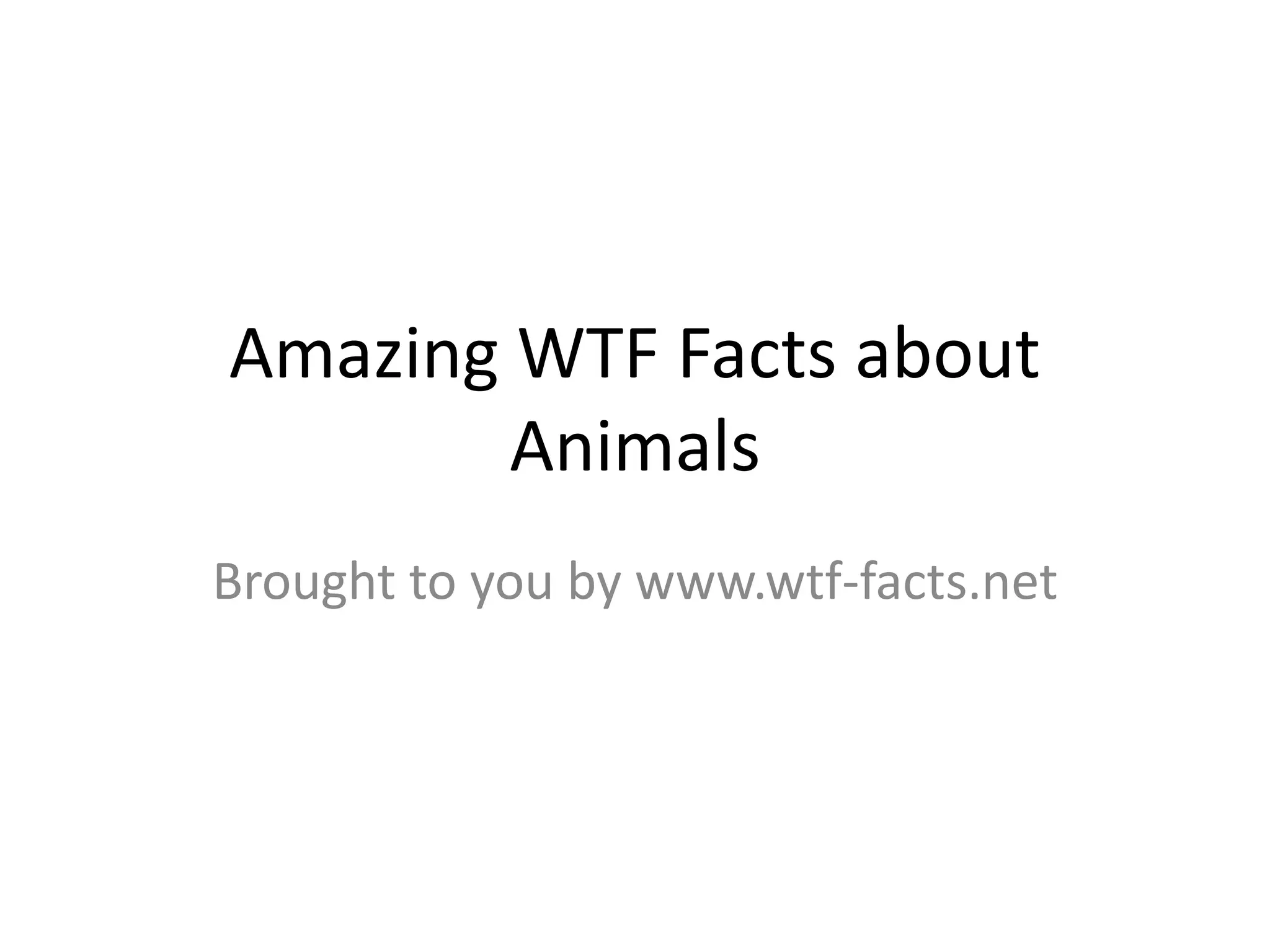 Amazing WTF Facts about animals that will blow your mind | PPTX