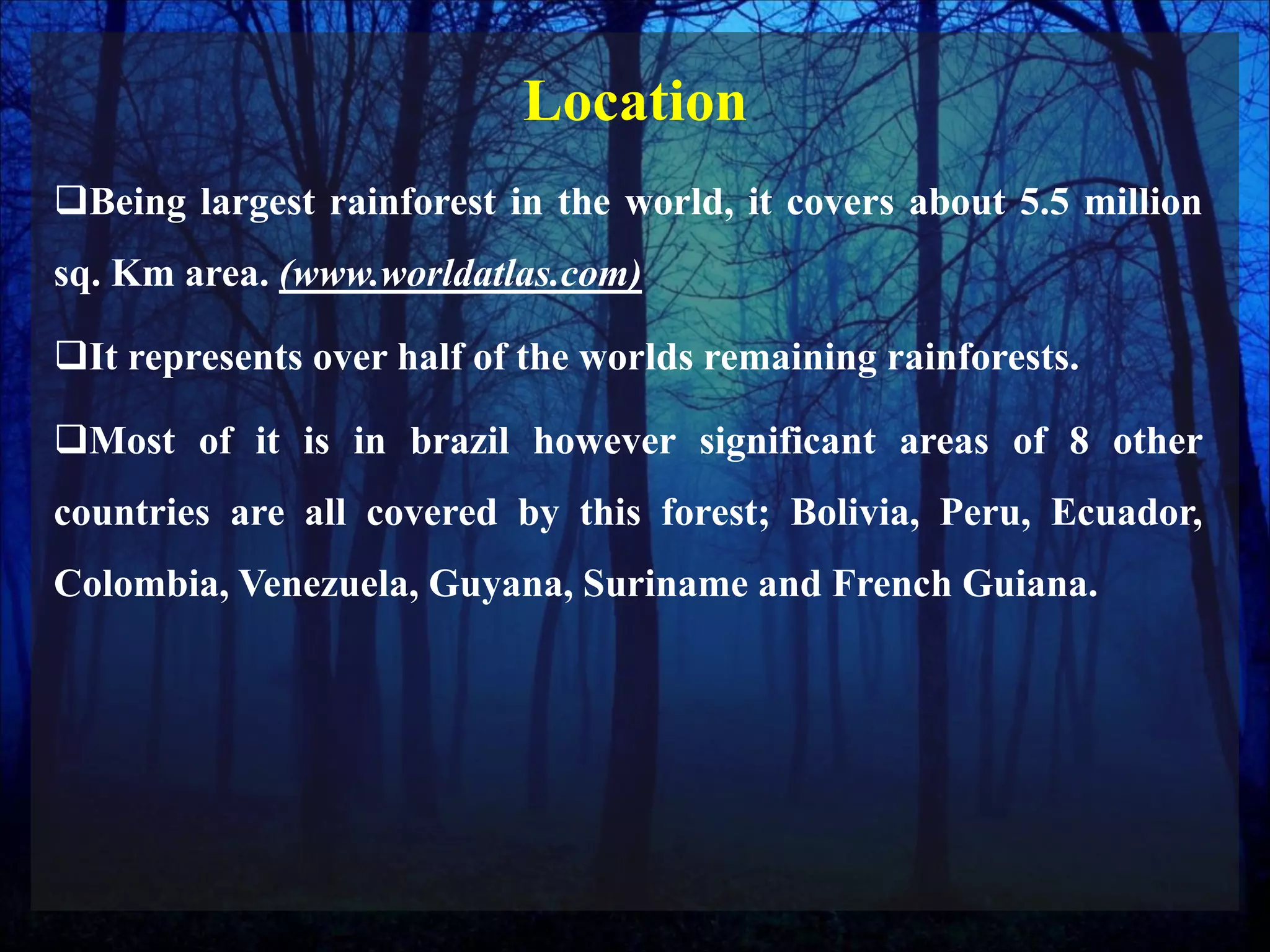 The Amazon Rainforest | PPT