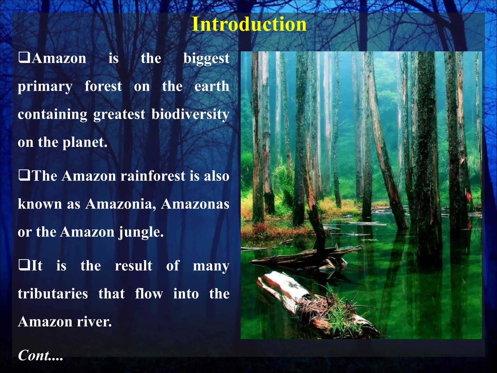 The Amazon Rainforest | PPT