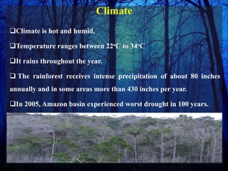 The Amazon Rainforest | PPT