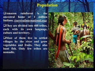 The Amazon Rainforest | PPT