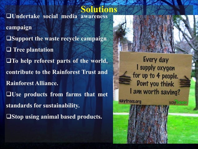 The Amazon Rainforest | PPT