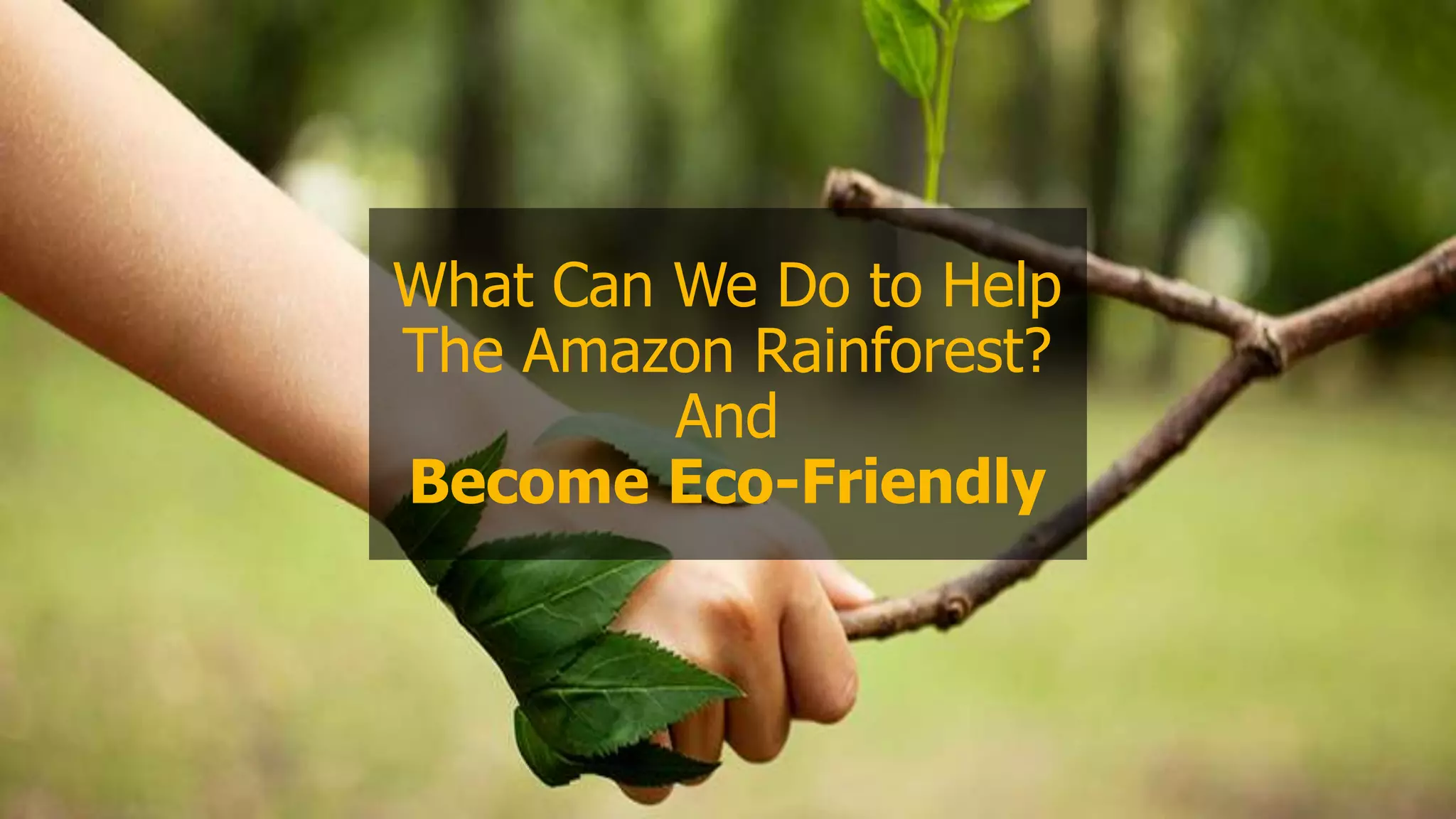 Amazon Rainforest and wildfire | PPTX