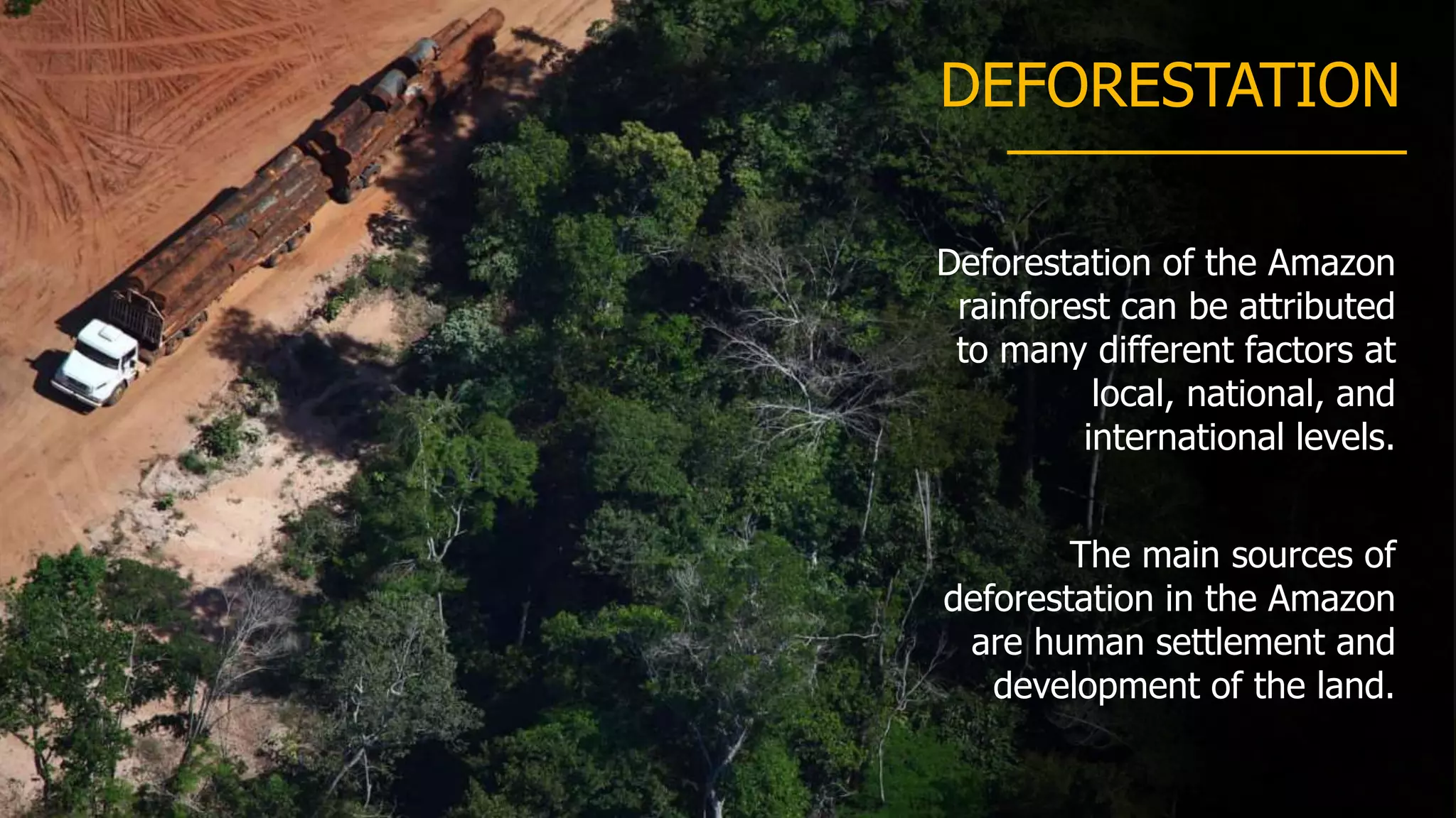 Amazon Rainforest and wildfire | PPTX