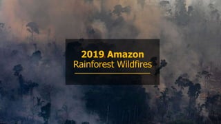 Amazon Rainforest and wildfire | PPTX