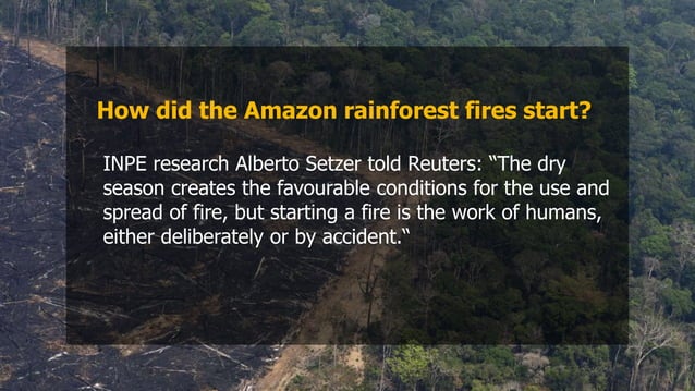 Amazon Rainforest and wildfire | PPTX