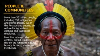 Amazon Rainforest and wildfire | PPTX