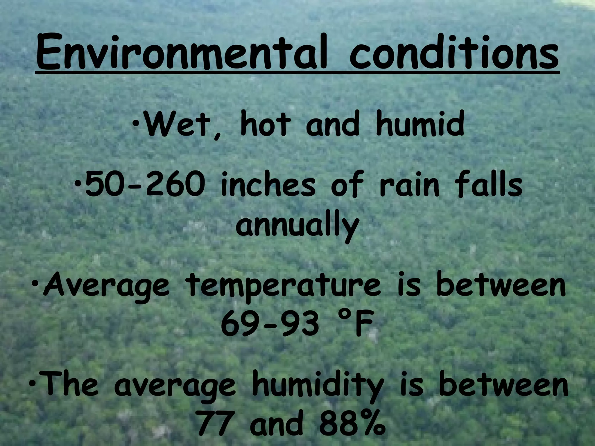 Amazon Rainforest | PPT | Women\'s Outerwear | Women\'s Clothing