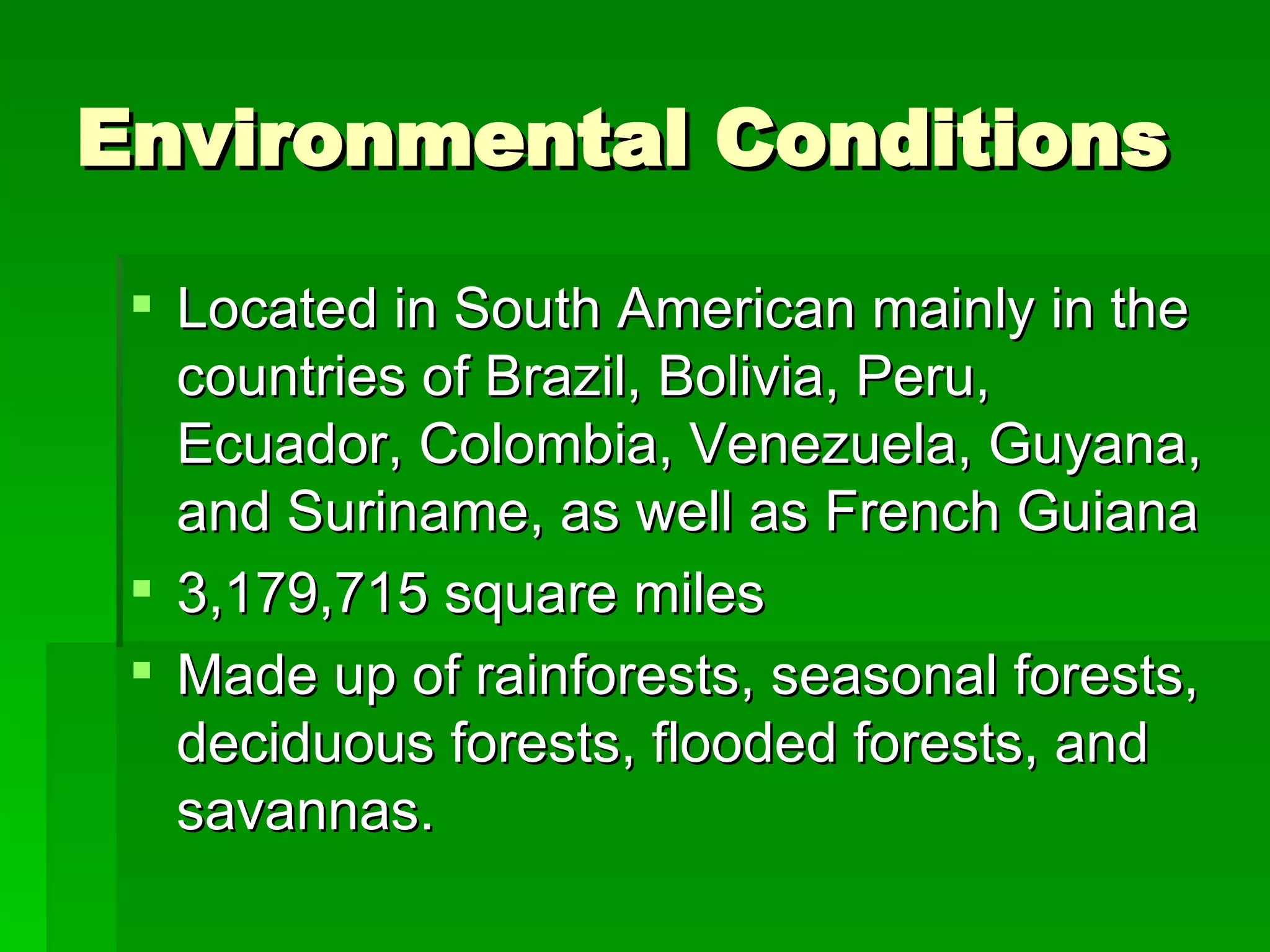 Amazon Rainforest | PPT