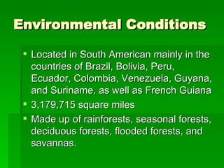Amazon Rainforest | PPT
