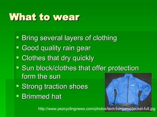 Amazon Rainforest | PPT