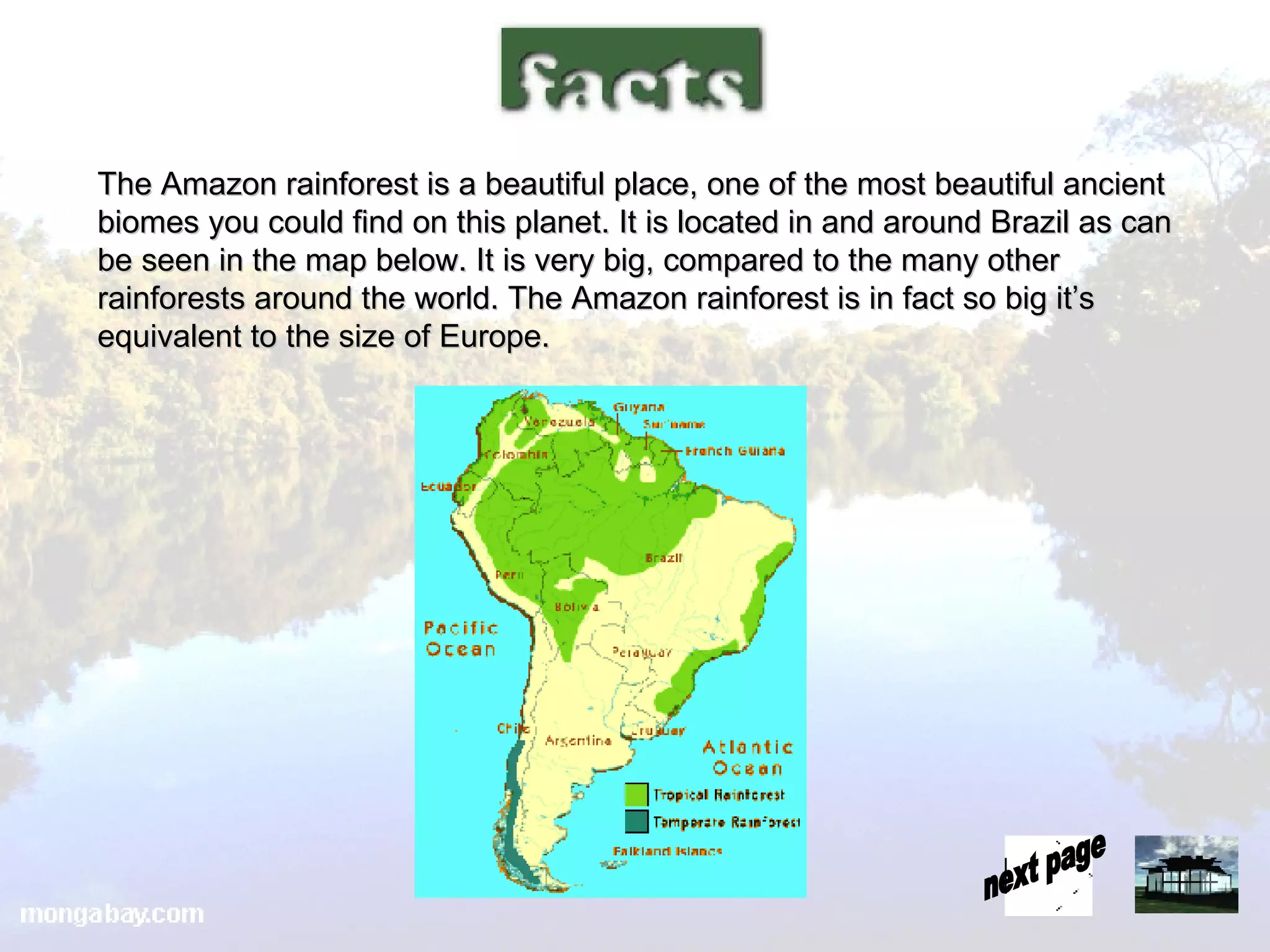 Amazon Rainforest Presentation | PPT