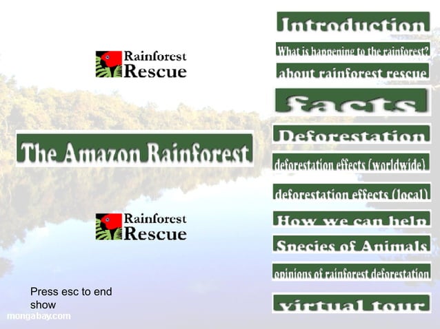 Amazon Rainforest Presentation | PPT