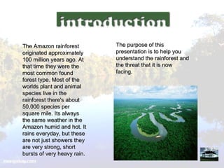 Amazon Rainforest Presentation | PPT