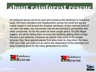 Amazon Rainforest Presentation | PPT