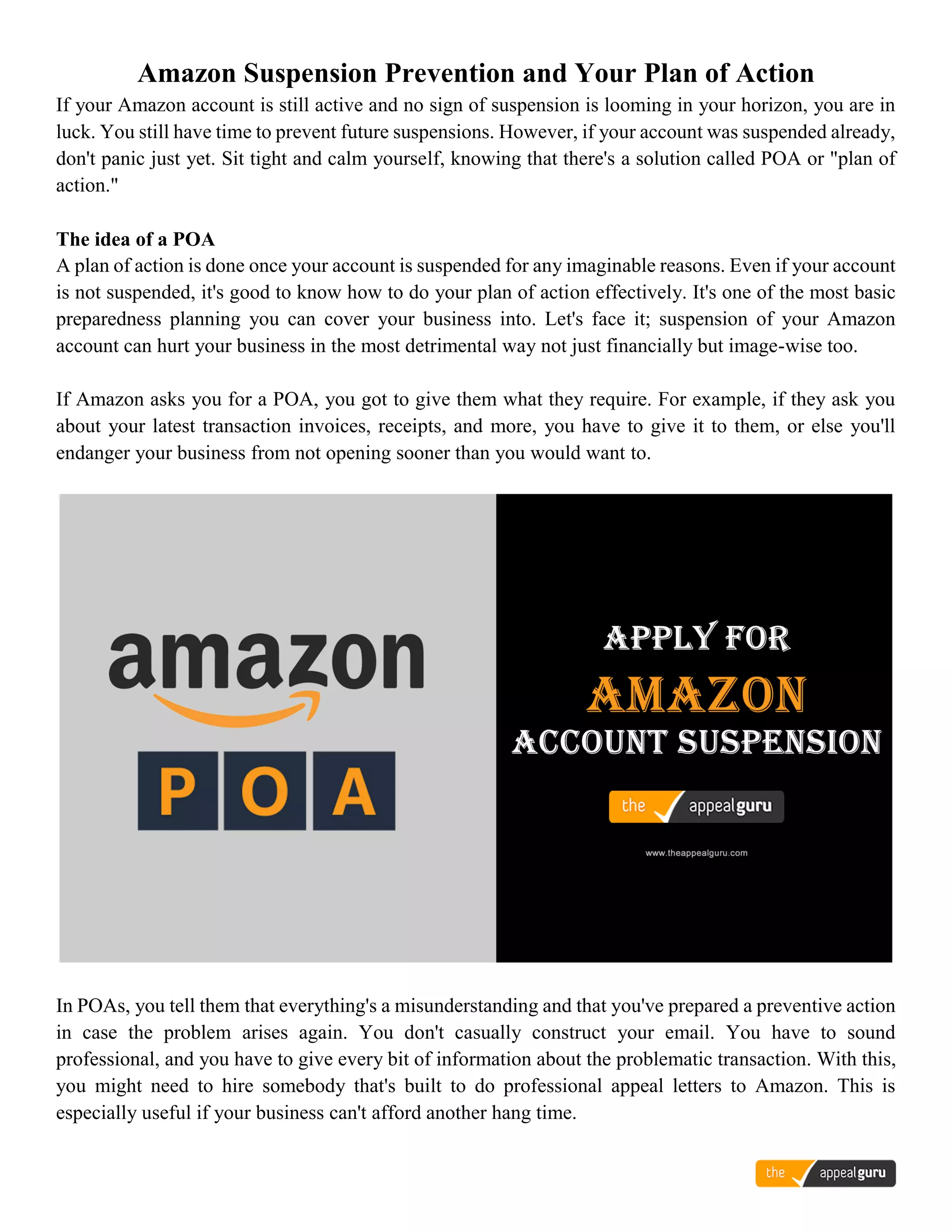 Amazon Appeal Plan of Action | PDF