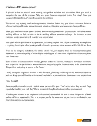 Amazon Appeal Plan of Action | PDF