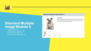 Amazon A Plus Content FAQs Basic Modules.pptx